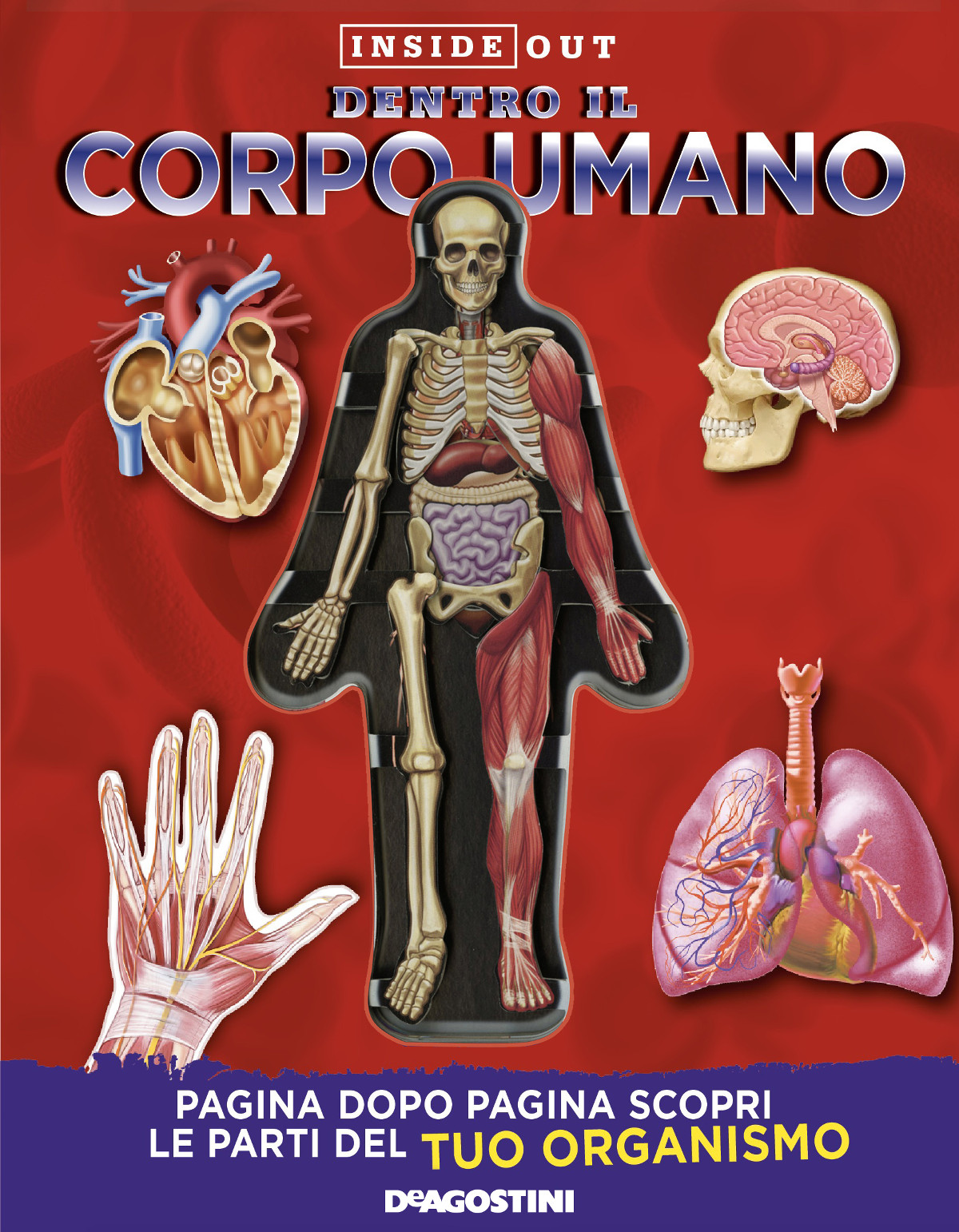Dentro il corpo umano | Libri | De Agostini Libri