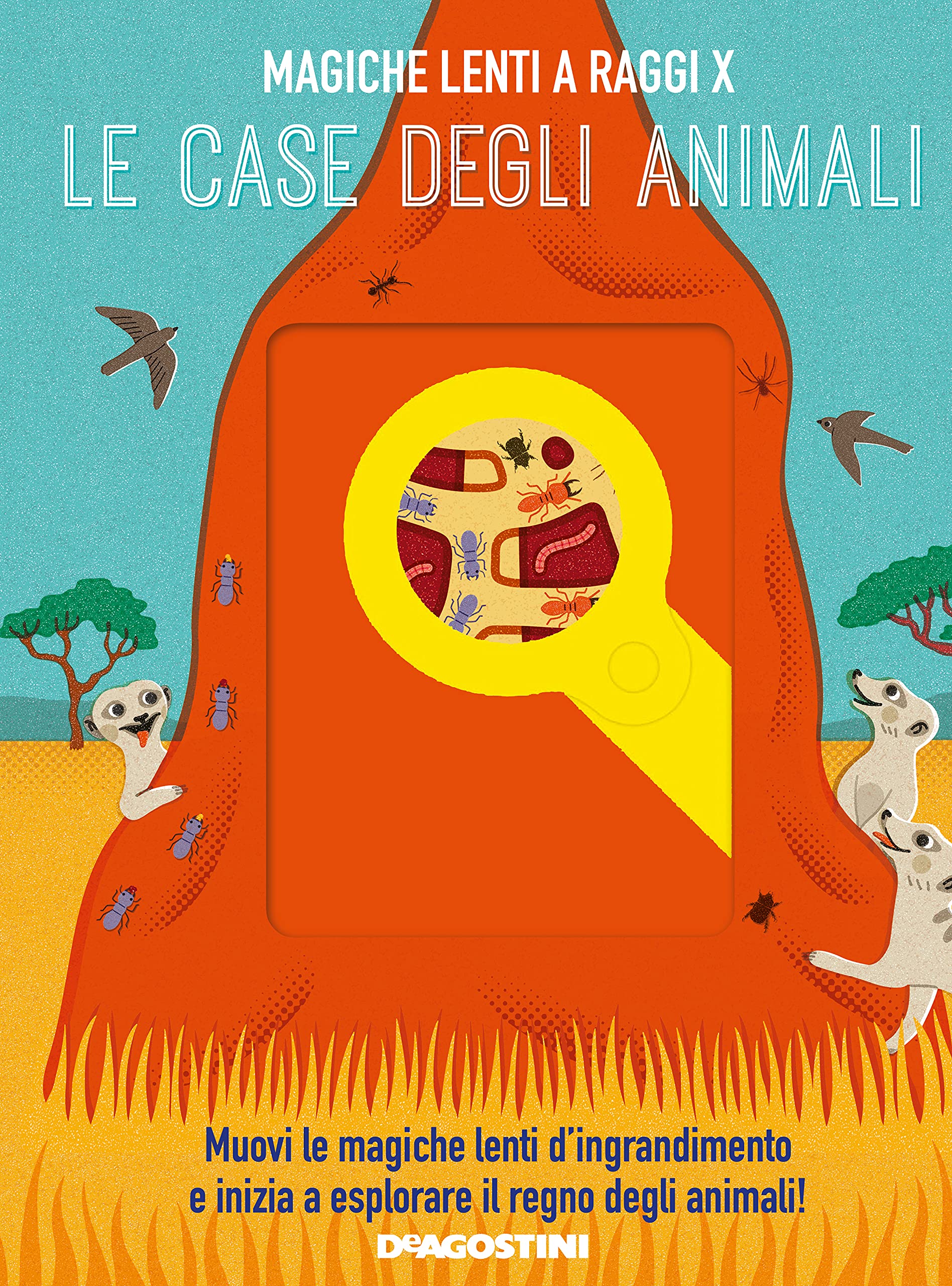 Le case degli animali. Magiche lenti a raggi X di Nancy Dickman | Libri ...